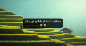 Protection of Geographical Indications in Philippines
